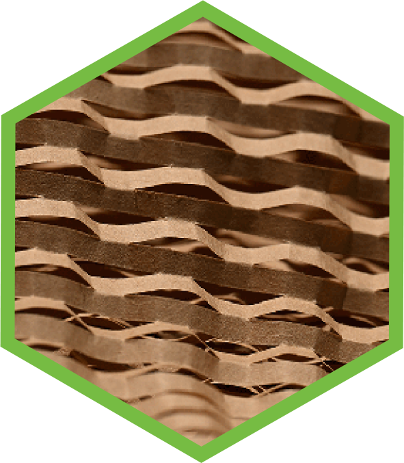 Sustainable Packaging Products and Stations | HexcelPack